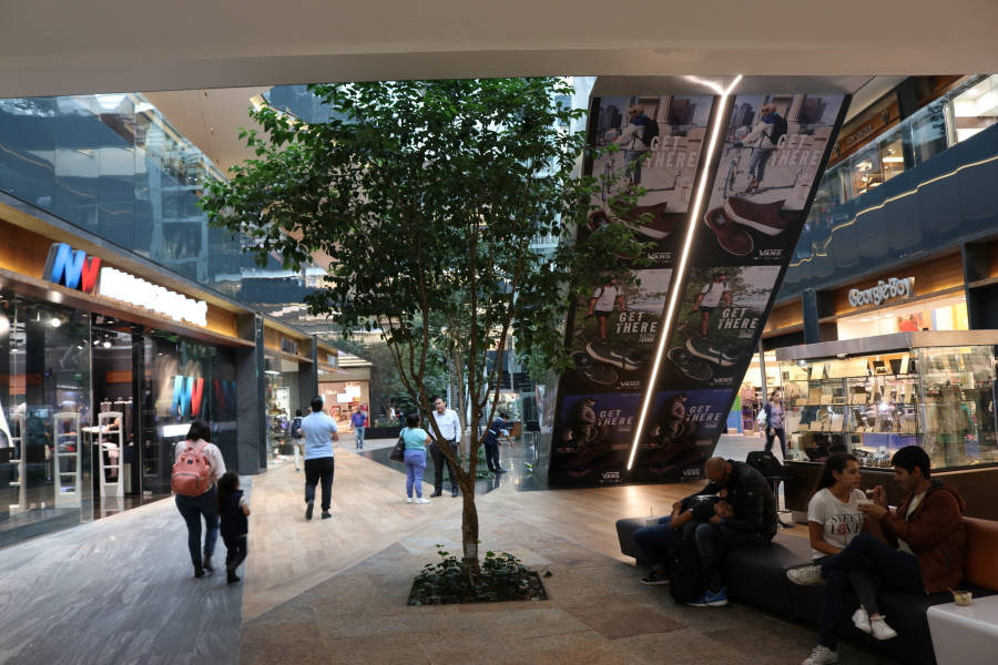 Publicidad en Toreo Parque Central | Cattri